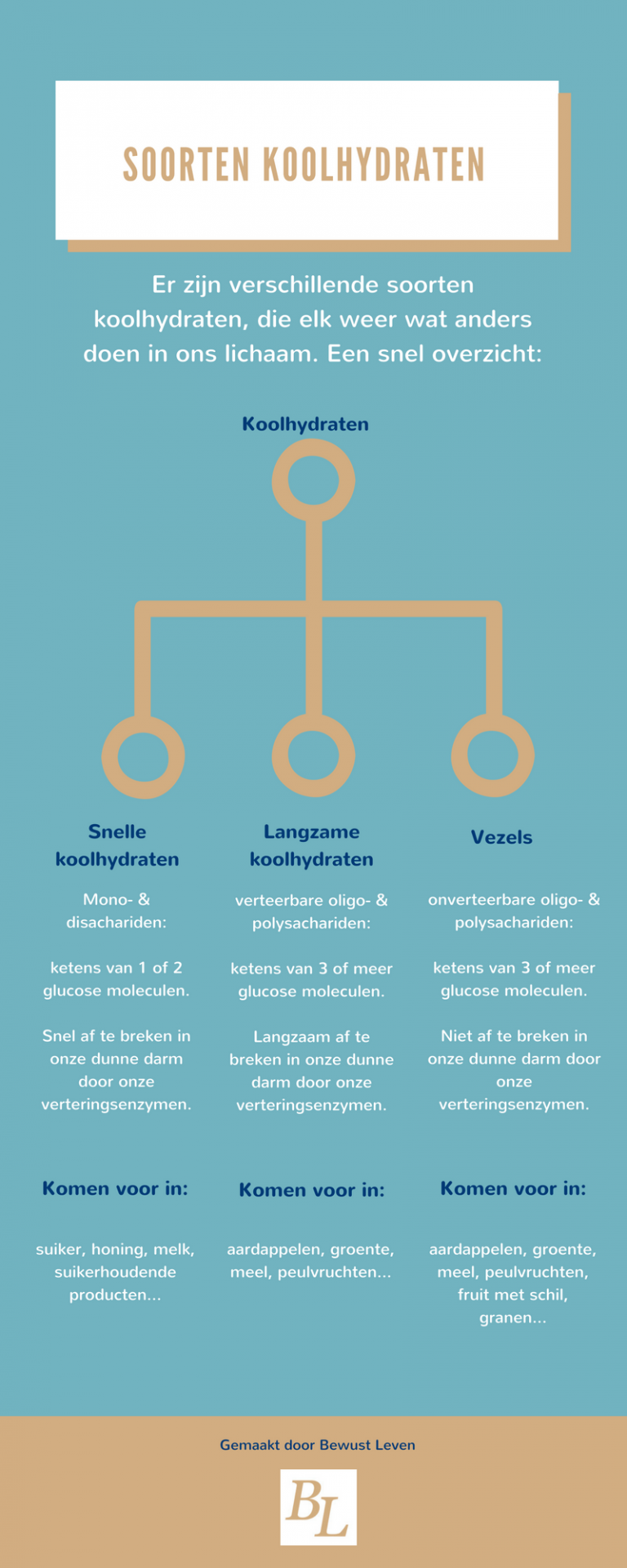 Langzame koolhydraten, vezels... Hier een kort overzicht!